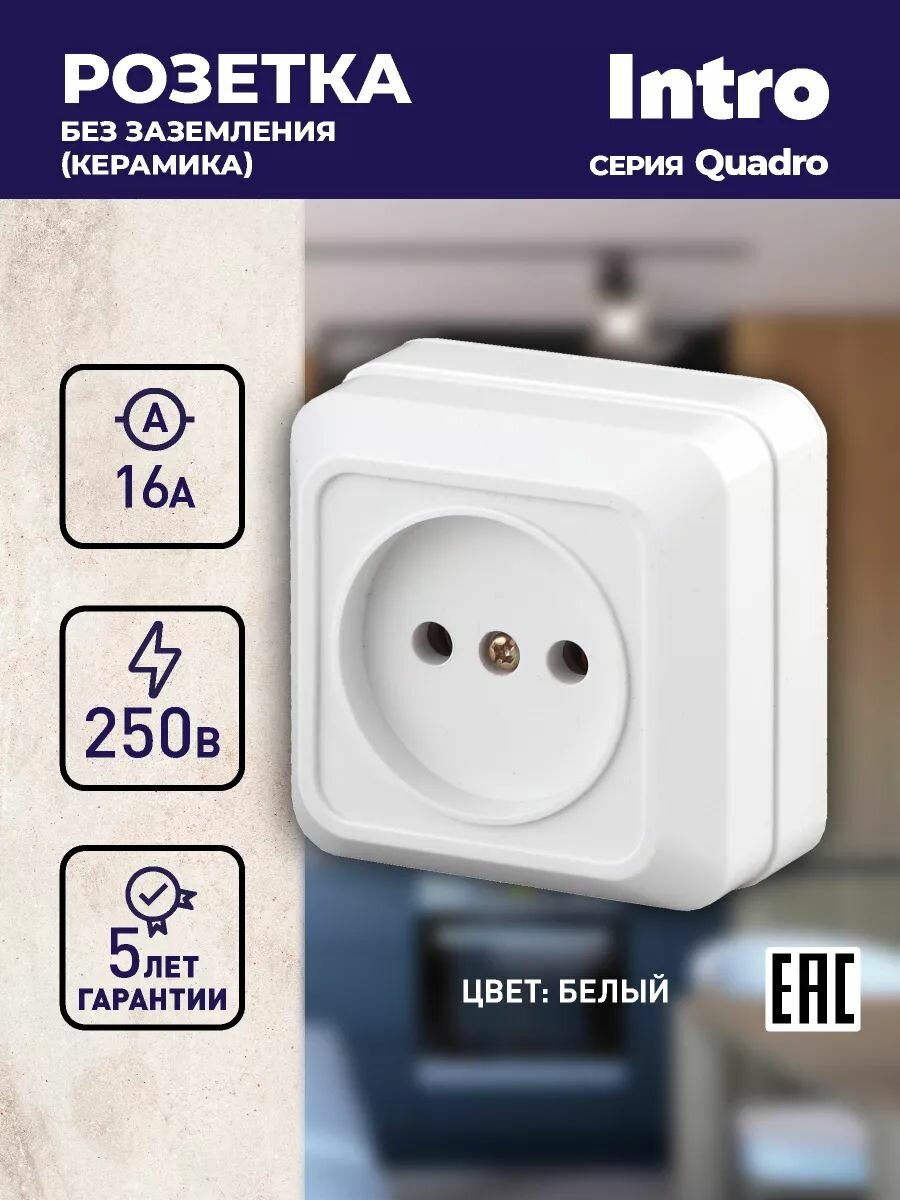 Розетка Intro Quadro 2-201-01 без заземления 2P 16А-250В IP20 открытой установки белая 16А 250В IP20 без заземления белая
