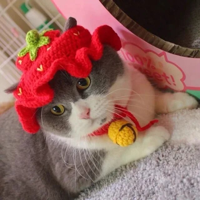 Милая изысканная кошачья шапка, эластичная осенне-зимняя шапка для питомца, щенка, котенка, вязаная шапка, реквизит для фотосессии, украшения для кошек