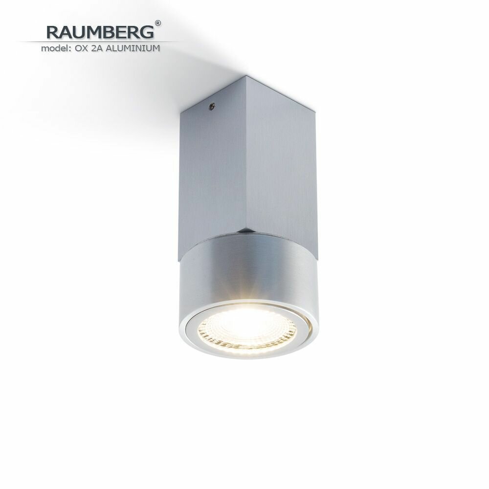 Накладной неповоротный потолочный светильник RAUMBERG OX2 A aluminium