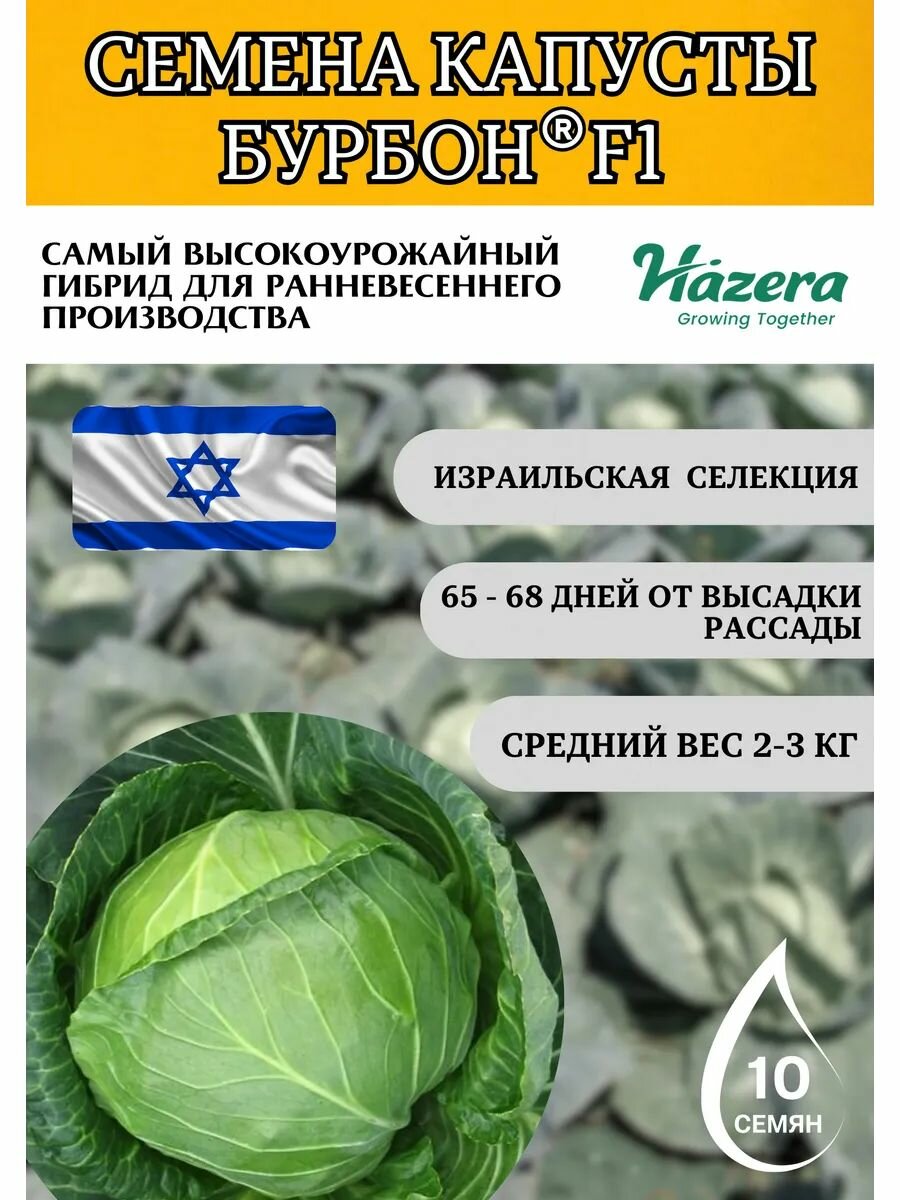 Капуста белокочанная Бурбон F1 10 семян Hazera, профессиональные семена