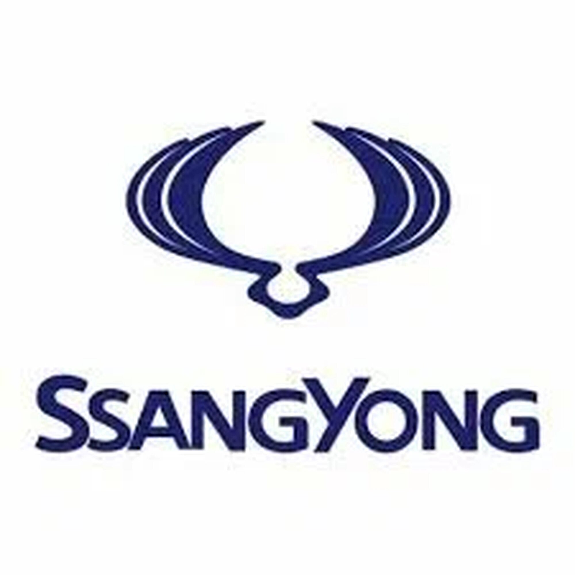 Прокладка впускного коллектора SsangYong 1611413080, для двигателя
