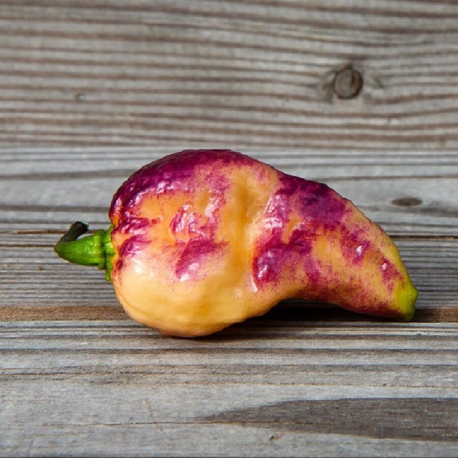 Семена Орешка Перец острый Pockmark Peach 5 ШТ