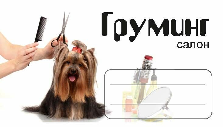 Визитка Груминг 7