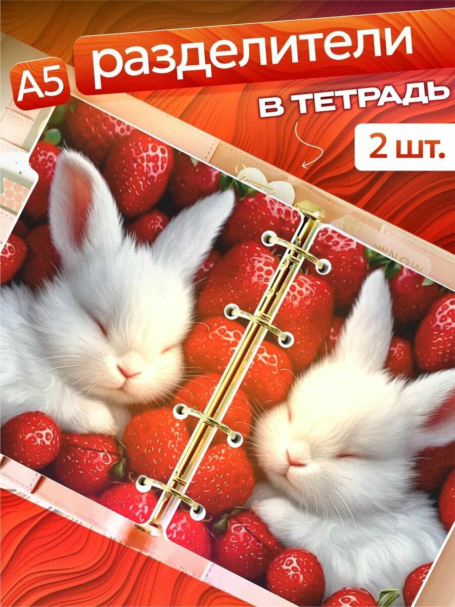 Разделители для тетради на кольцах Зайки