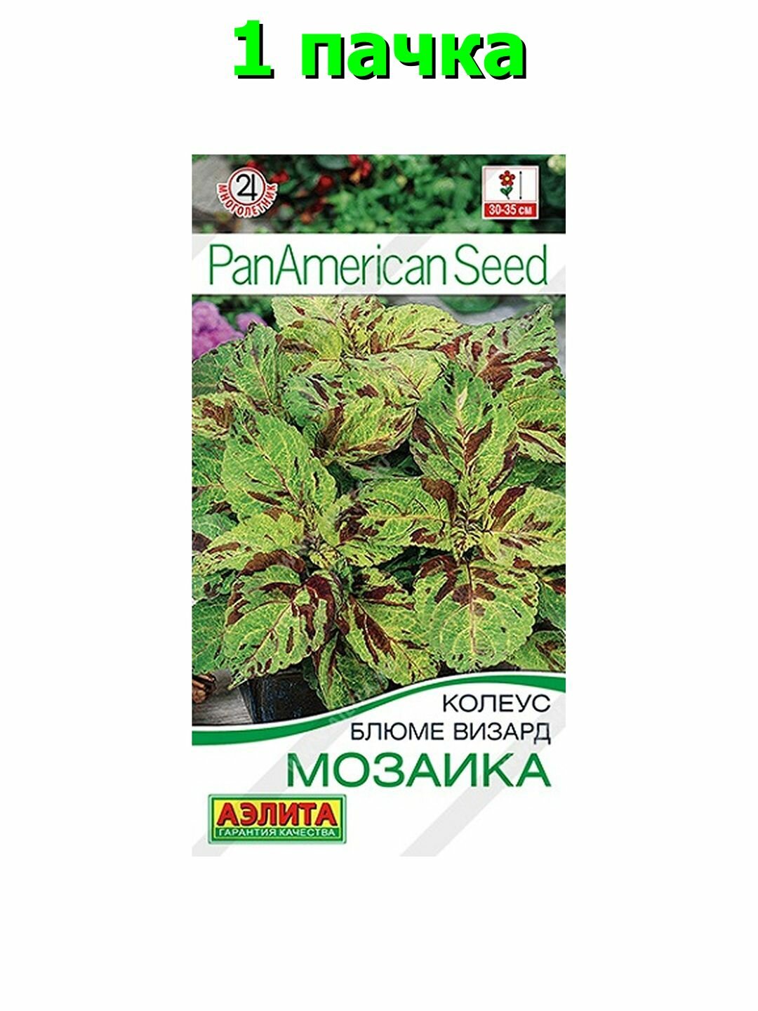 Семена Колеус блюме Мозаика, многолетние, Аэлита - PanAmerican, 1 пачка - 5семян