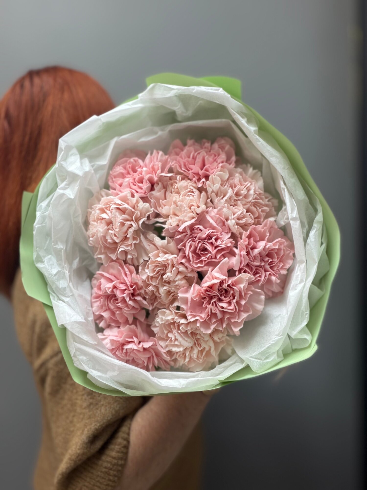 Махровые диантусы ( гвоздика )