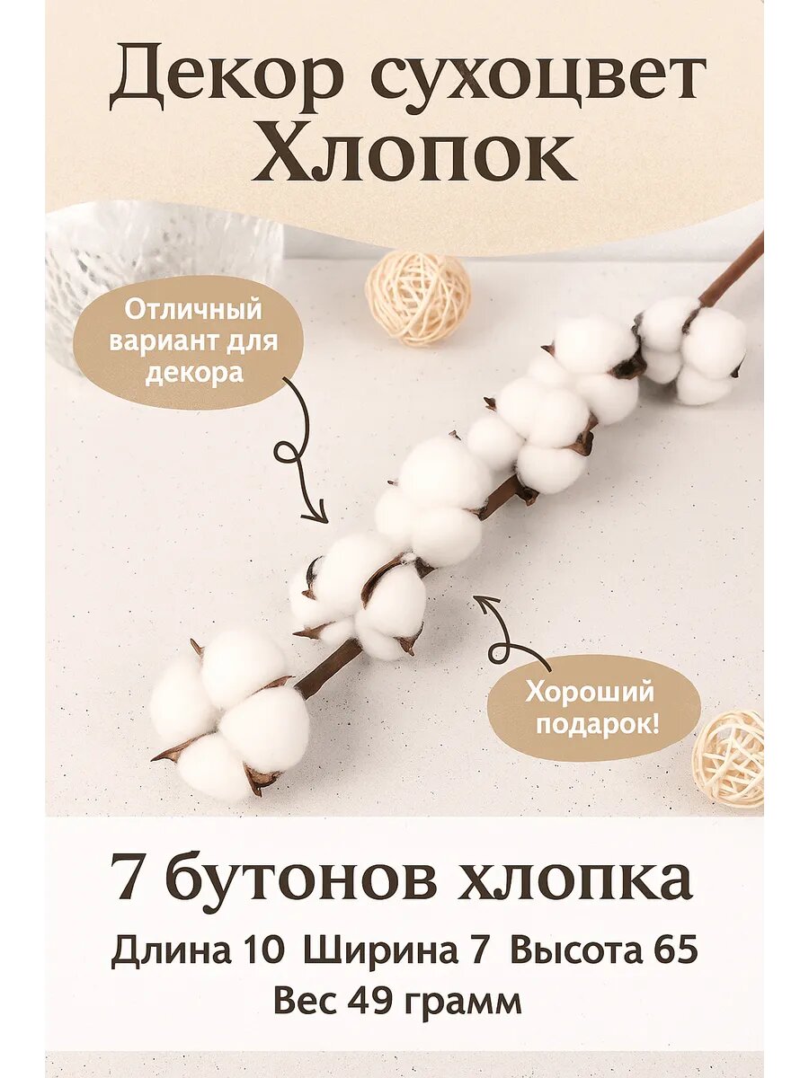 Декор сухоцвет Poetry in flowers "Хлопок", d=5см, длина 70см