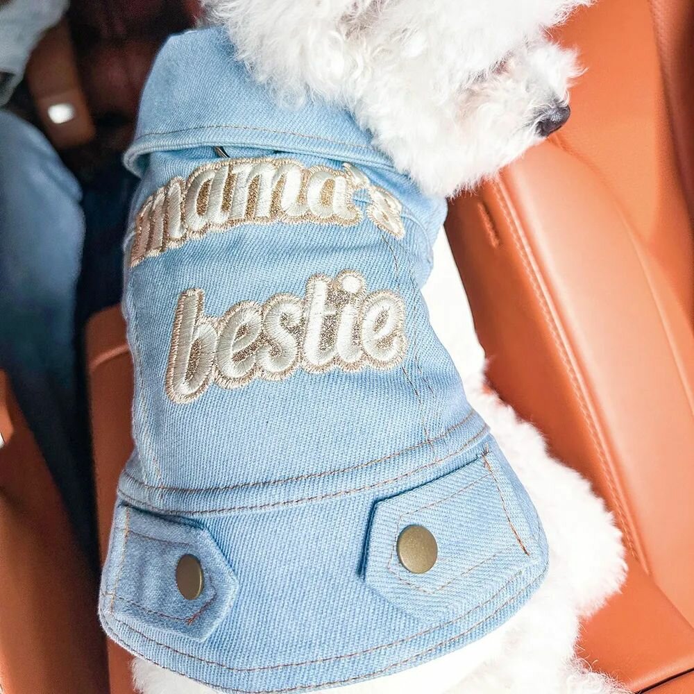 Хит продаж! Джинсовый жилет для собак и кошек (XS-XL)