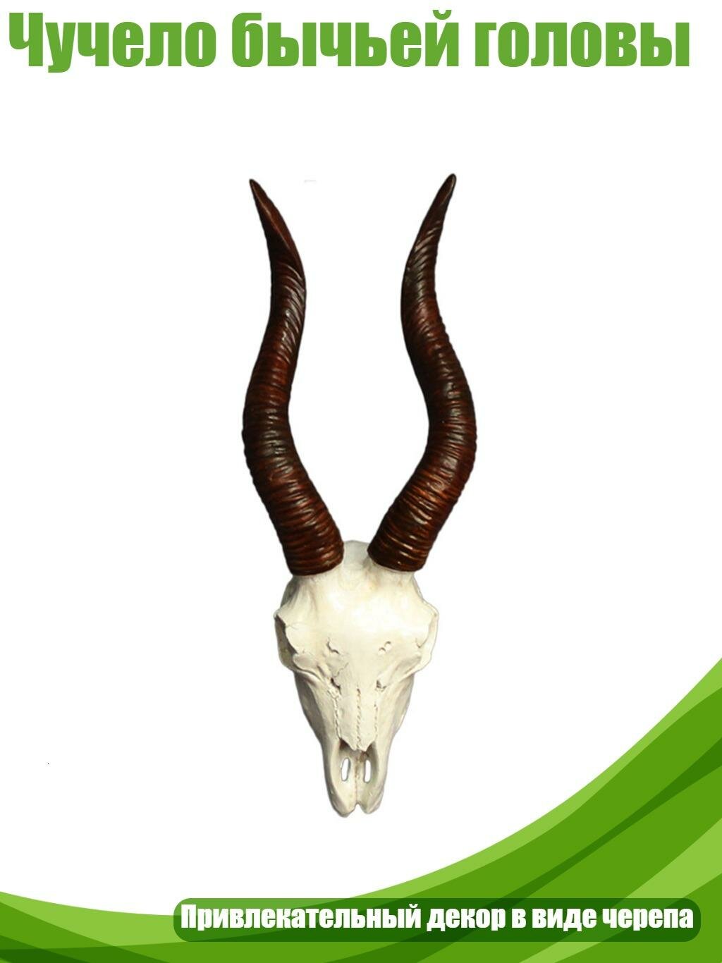 Чучело бычьей головы, череп овцы