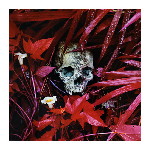 Ben Frost & Richard Mosse - The Enclave (The Vinyl Factory, Private Press, #23/100) - новая виниловая пластинка