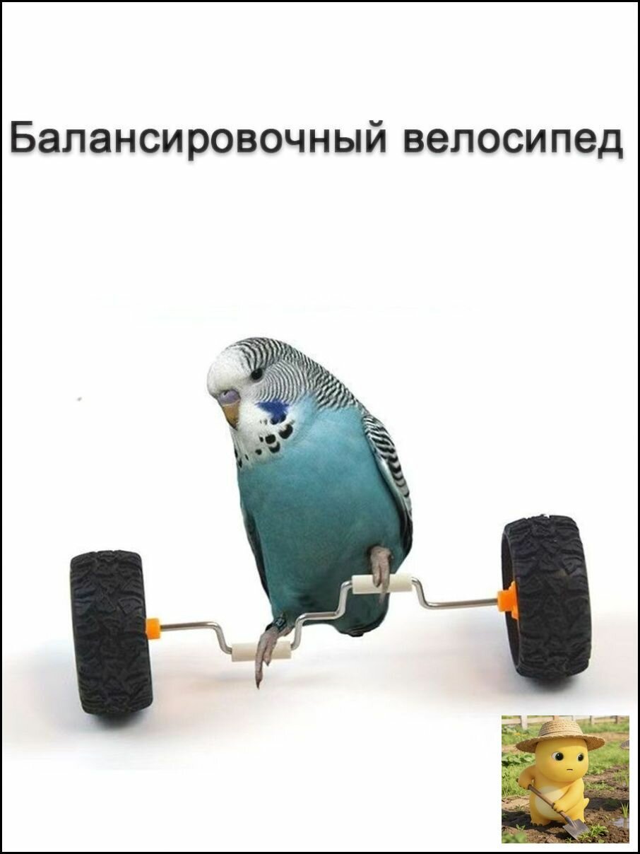 Бестселлер для питомцев