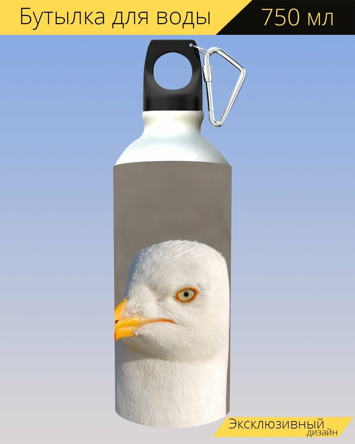Бутылка фляга для воды "Чайка, сельдь чайка, птица" 750 мл. с карабином и принтом
