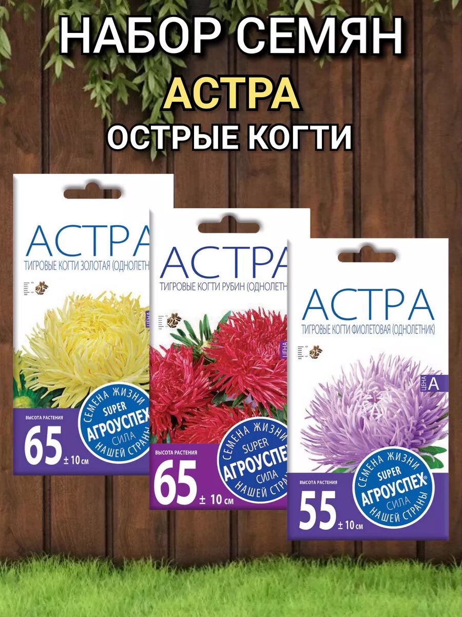 Семена для сада Агроуспех Астра Тигровые когти: Золотая, Рубин, Фиолетовая
