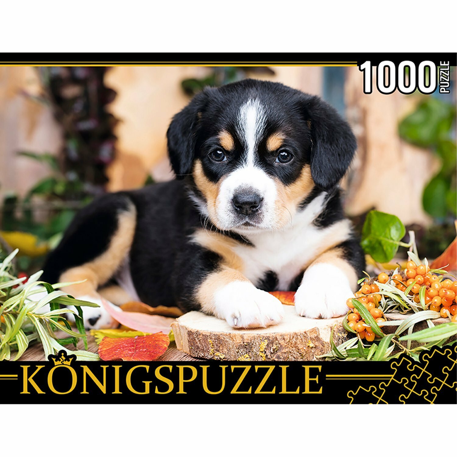 Пазлы Рыжий кот Konigspuzzle, 1000 деталей, Щенок швейцарского зенненхунда (ШТK1000-0645)