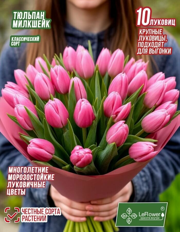 Тюльпан Луковица, Сиси, 10шт крупные