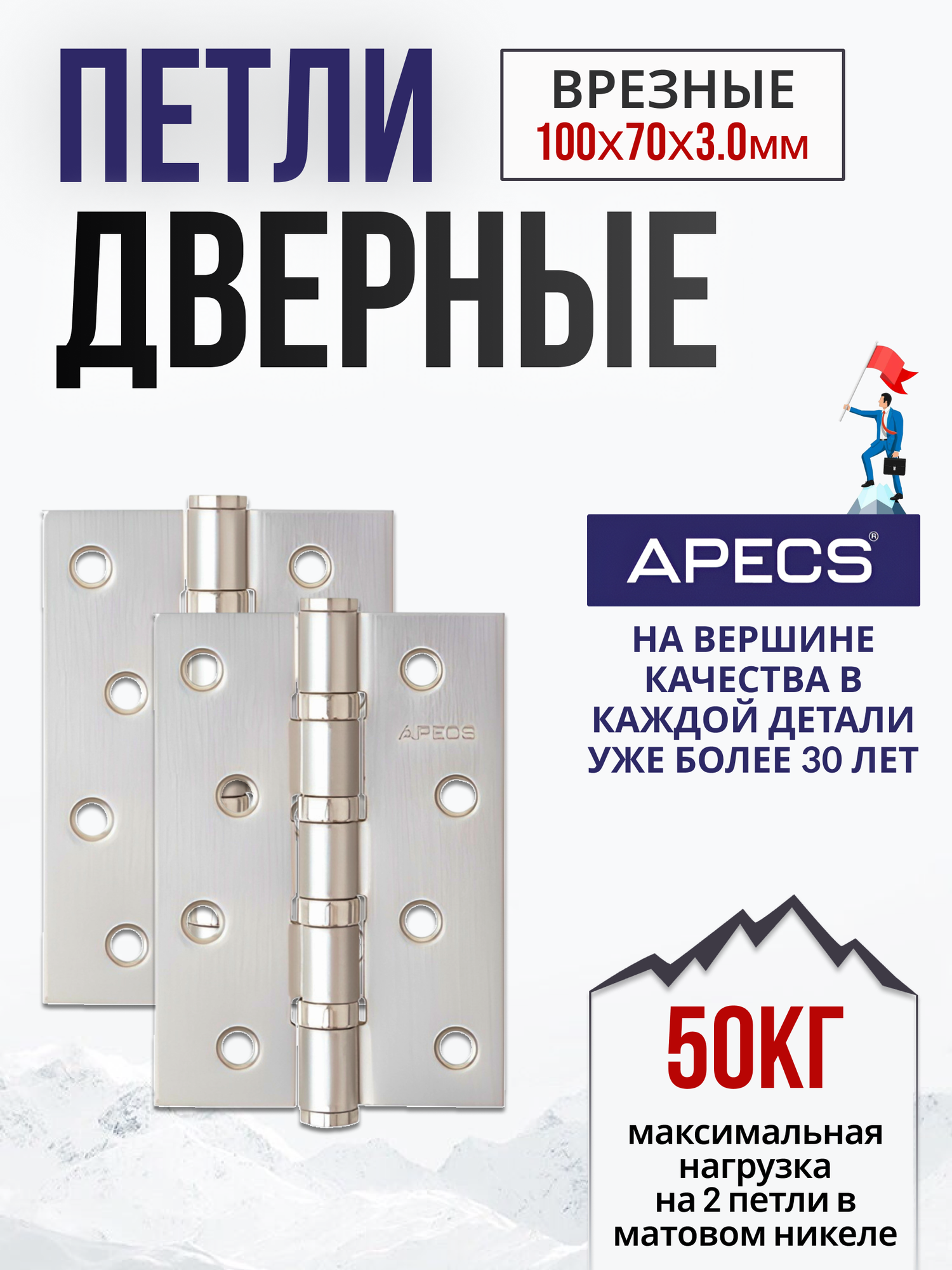 Петли врезные дверные никель универсальные, 2 шт, 100х70х3