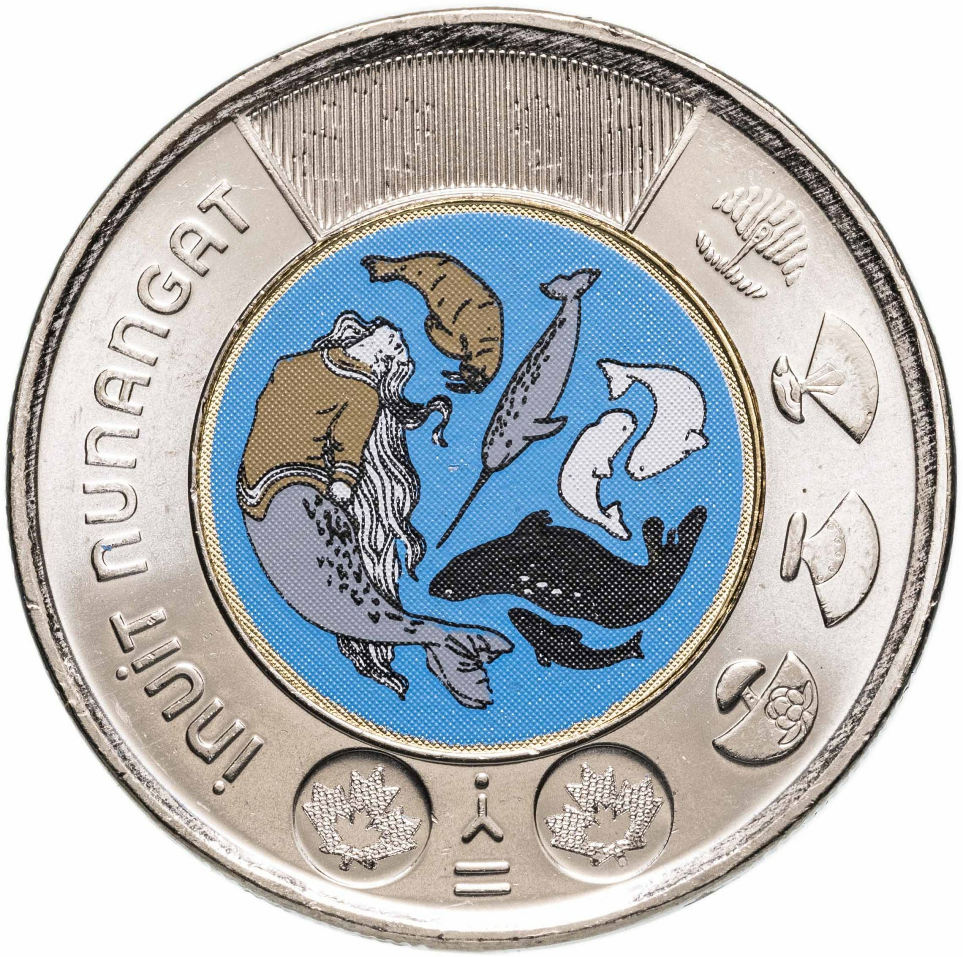 Канада 2 доллара 2024 "Земли инуитов на севере Канады" цветное покрытие, Биметалл, в сохранности UNC