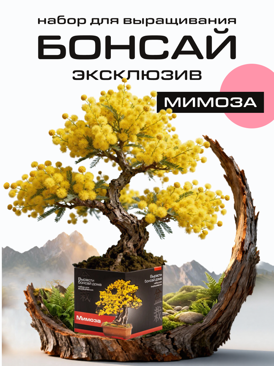 Набор для выращивания растений "Вырасти Бонсай Дома. Мимоза", в подарочной коробке