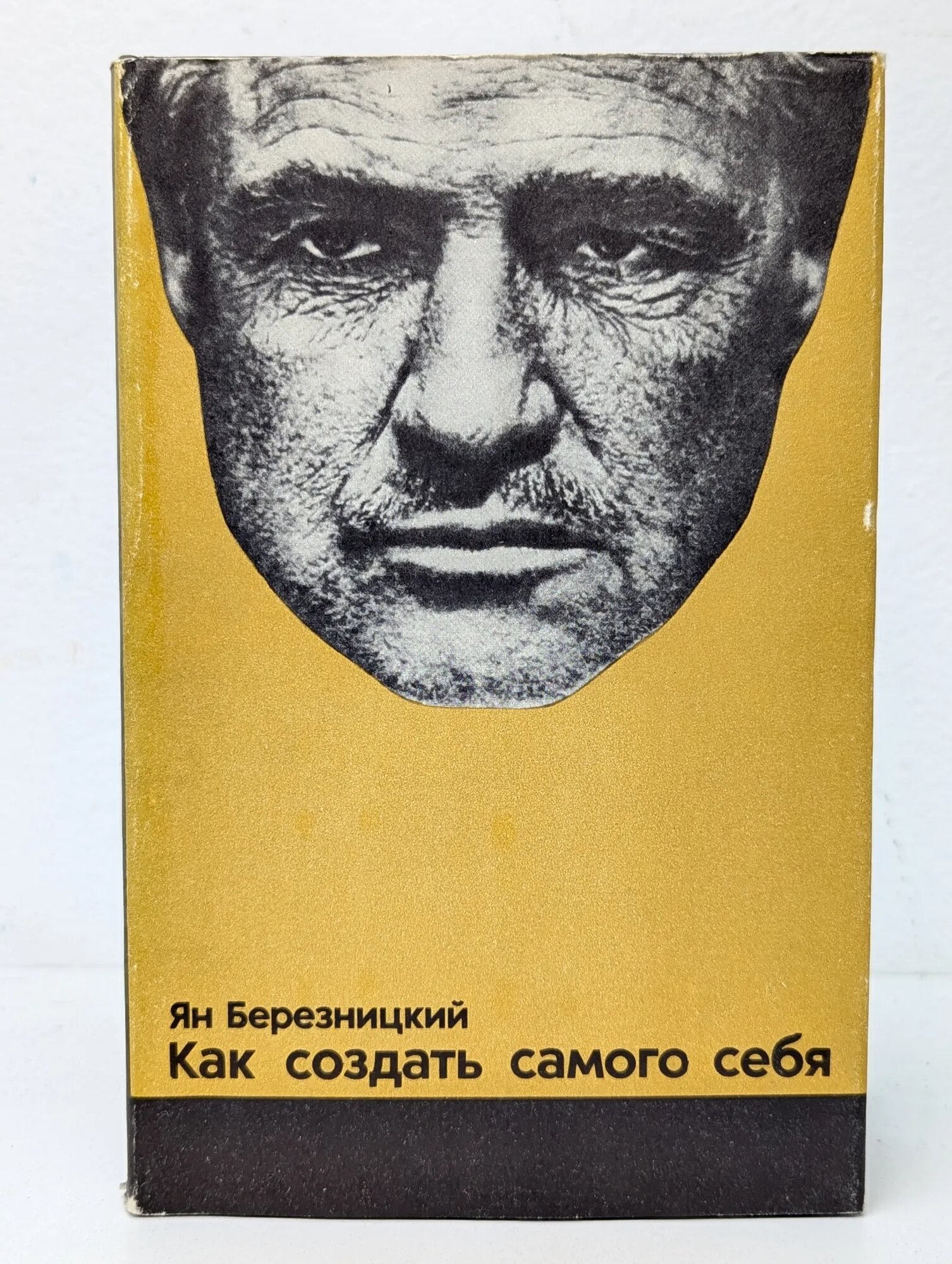 Как создать самого себя Березницкий Ян 1976