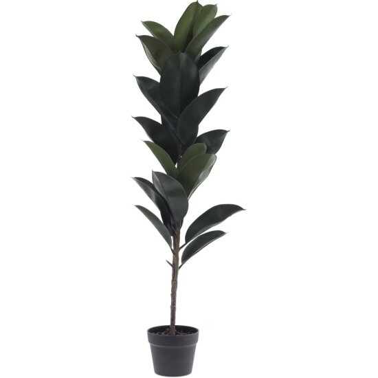 Цветочная композиция Remeco Collection "Фикус" 35х35х111 см