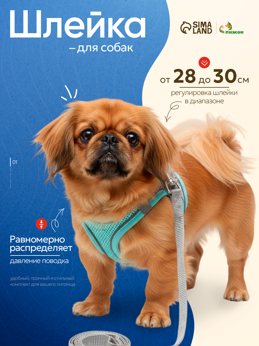 Комплект с мягкой шлейкой, размер XXS, поводок 150 х 1,5 см, ОГ 28-30 см, ОШ 24-26 см, бирюз