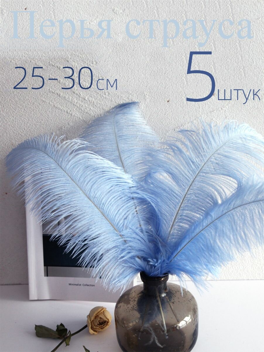Перья страуса для творчества и декора, 5 штук 25-30 см, натуральные декоративные перья для рукоделия, украшений и интерьера