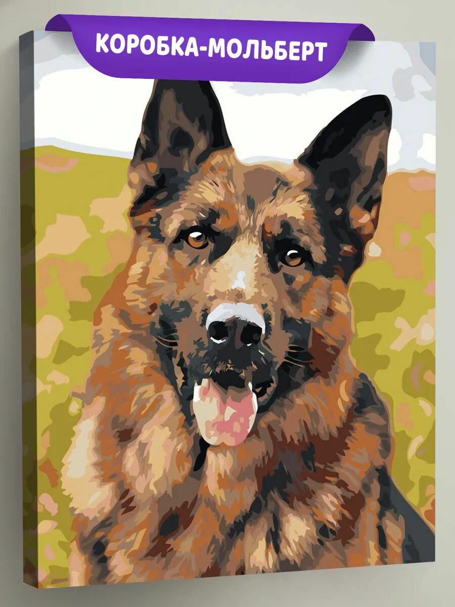 Картина по номерам на холсте с подрамником 40x50 "Собаки: Немецкая овчарка портрет", пейзаж