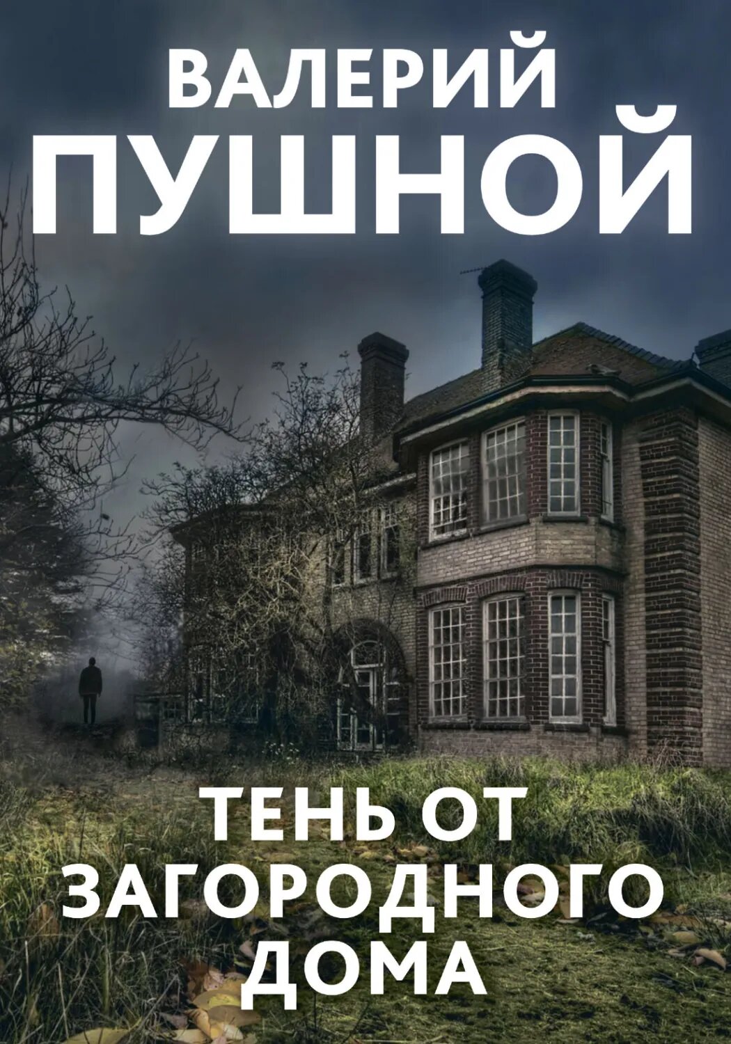 Тень от загородного дома [Цифровая книга]