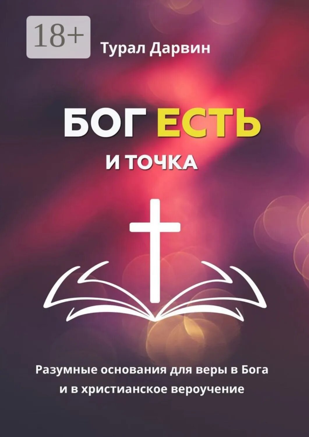 Бог есть и точка. Разумные основания для веры в Бога и в христианское вероучение [Цифровая книга]