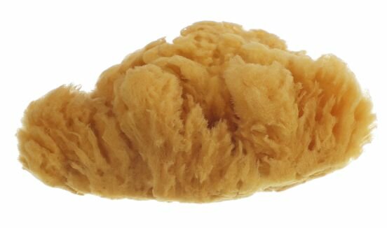 Губка морская натуральная 16 см № 5526