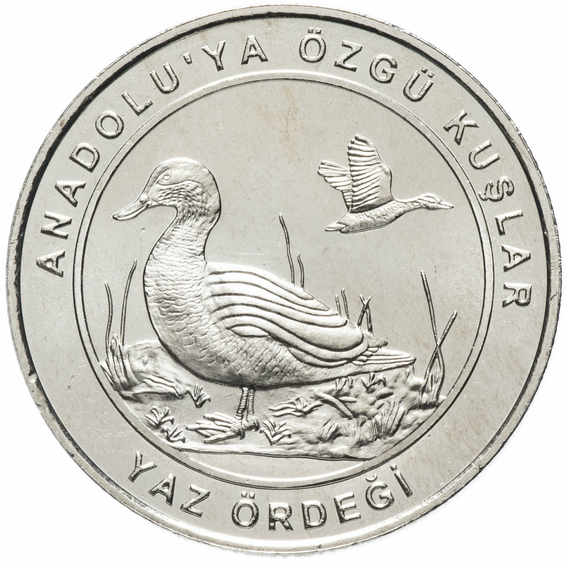 Турция 1 куруш, 2018 "Мраморный чирок" Серия "Птицы Анатолии", Медь, в сохранности UNC