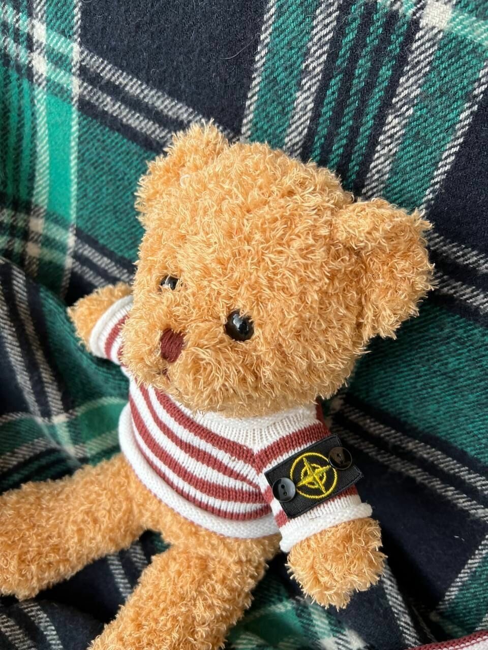 Плюшевый медведь Stone Island