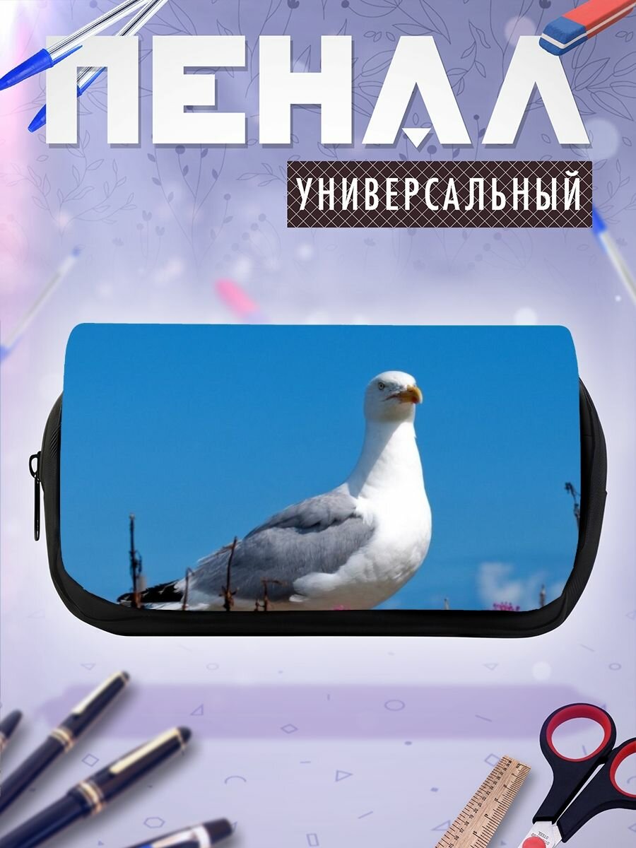 Школьный пенал чайки птица