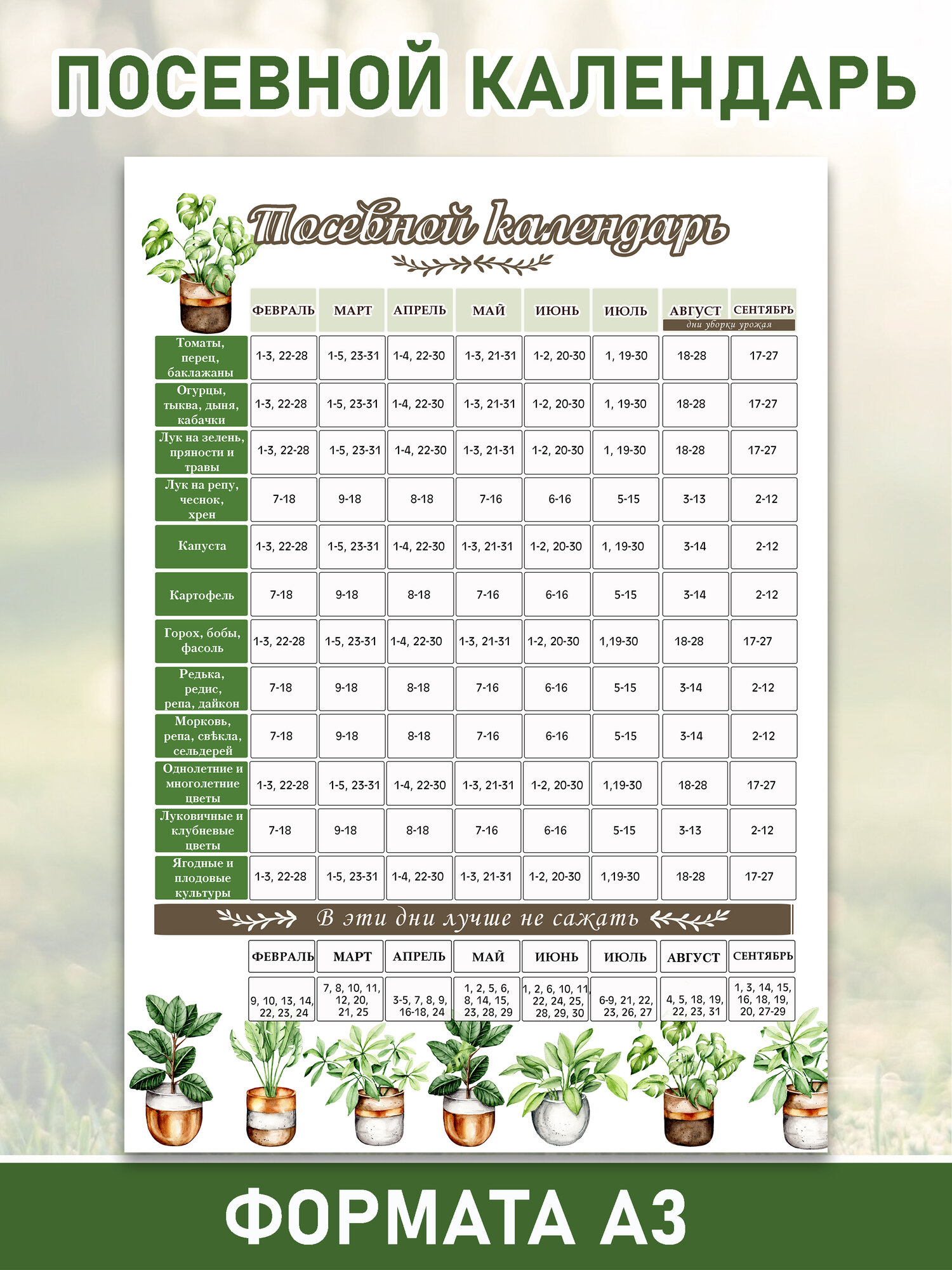 Настенный посевной календарь А3 на 2026 год