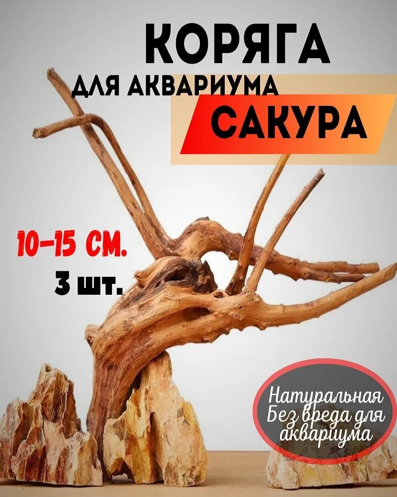 Коряга для аквариума натуральная 3 шт./Коряга натуральная Сакура/Декорация для аквариума и террариума.