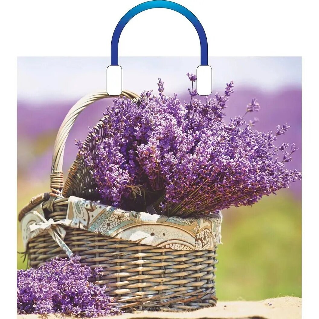 Пакет ПЭ с ручками 'Корзинка нежности' 38+3см, комплект 10 штук