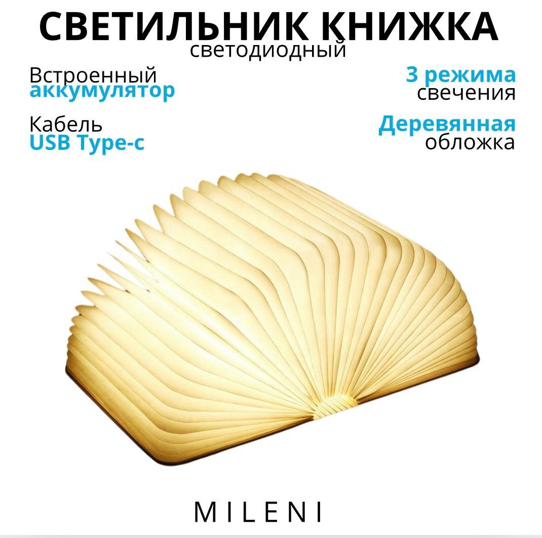 Ночник-светильник светодиодный 3D Книга, цвет коричневый, белый
