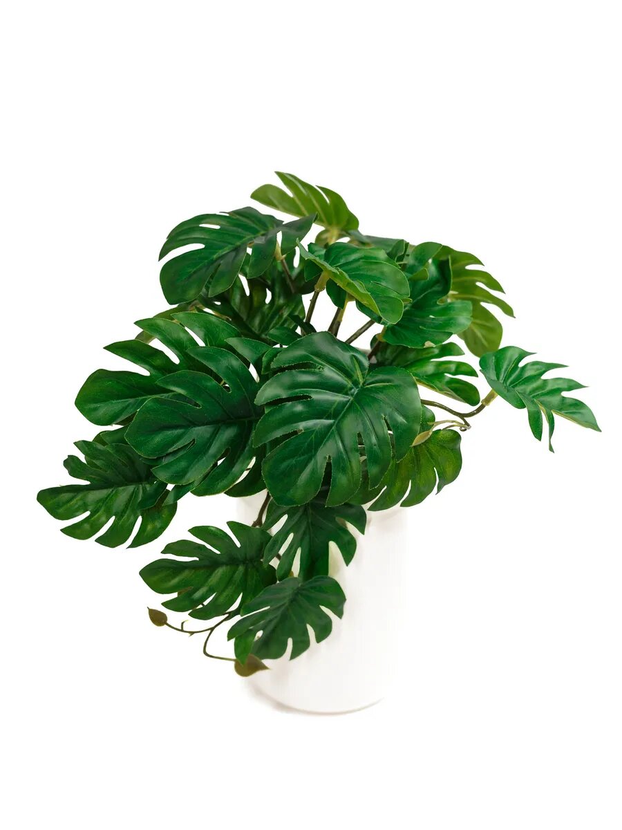 Цветы искусственные Монстера 25 см
