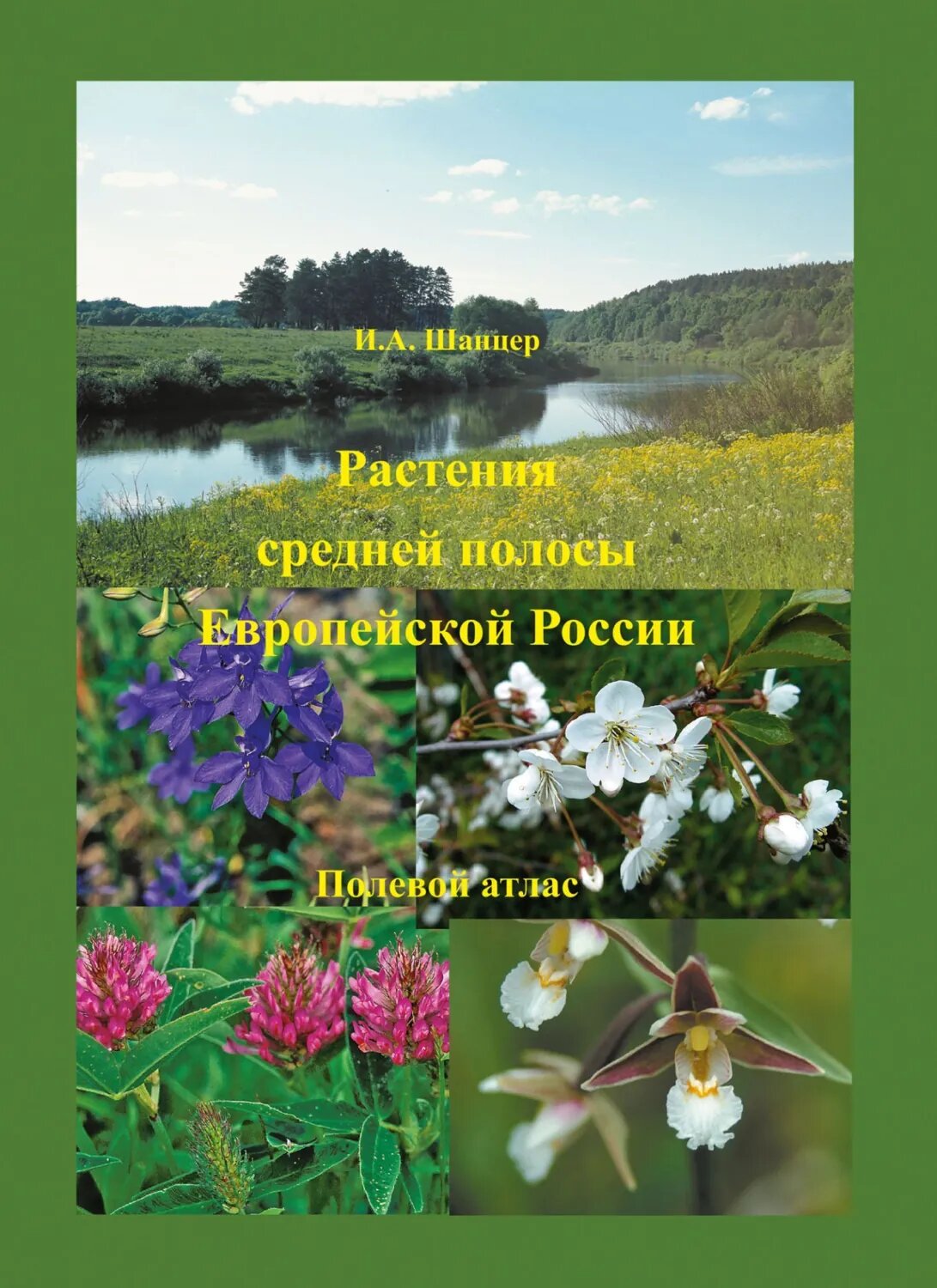 Растения средней полосы Европейской России. Полевой атлас [Цифровая книга]