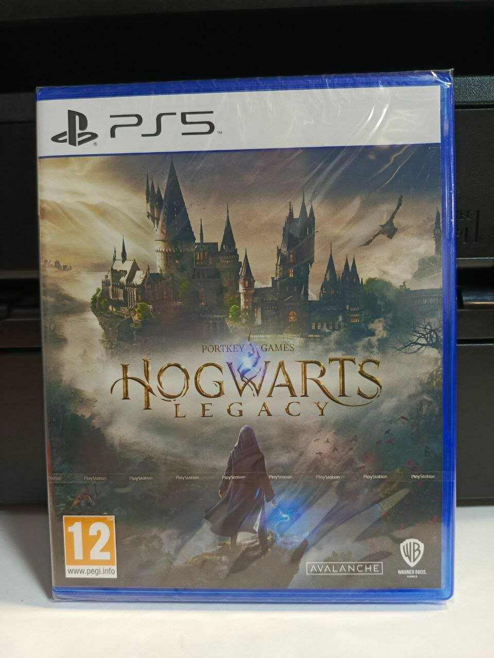 Hogwarts Legacy [PS5, русские субтитры](SPC)