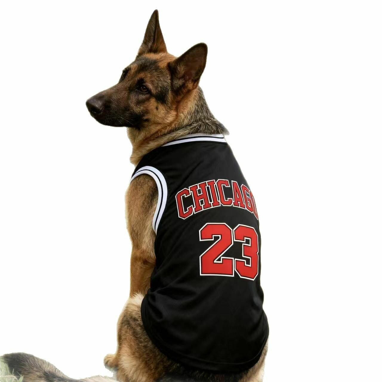 Майка баскетбольная для средних и крупных собак