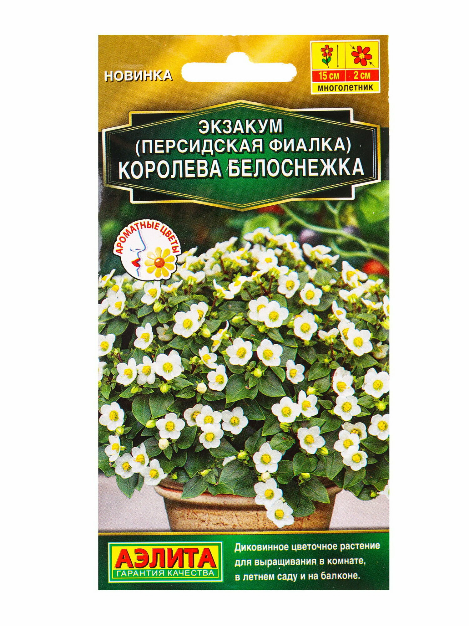 Семена цветов Экзакум Персидская фиалка "Королева белоснежка", 4 шт, драже, "аэлита"