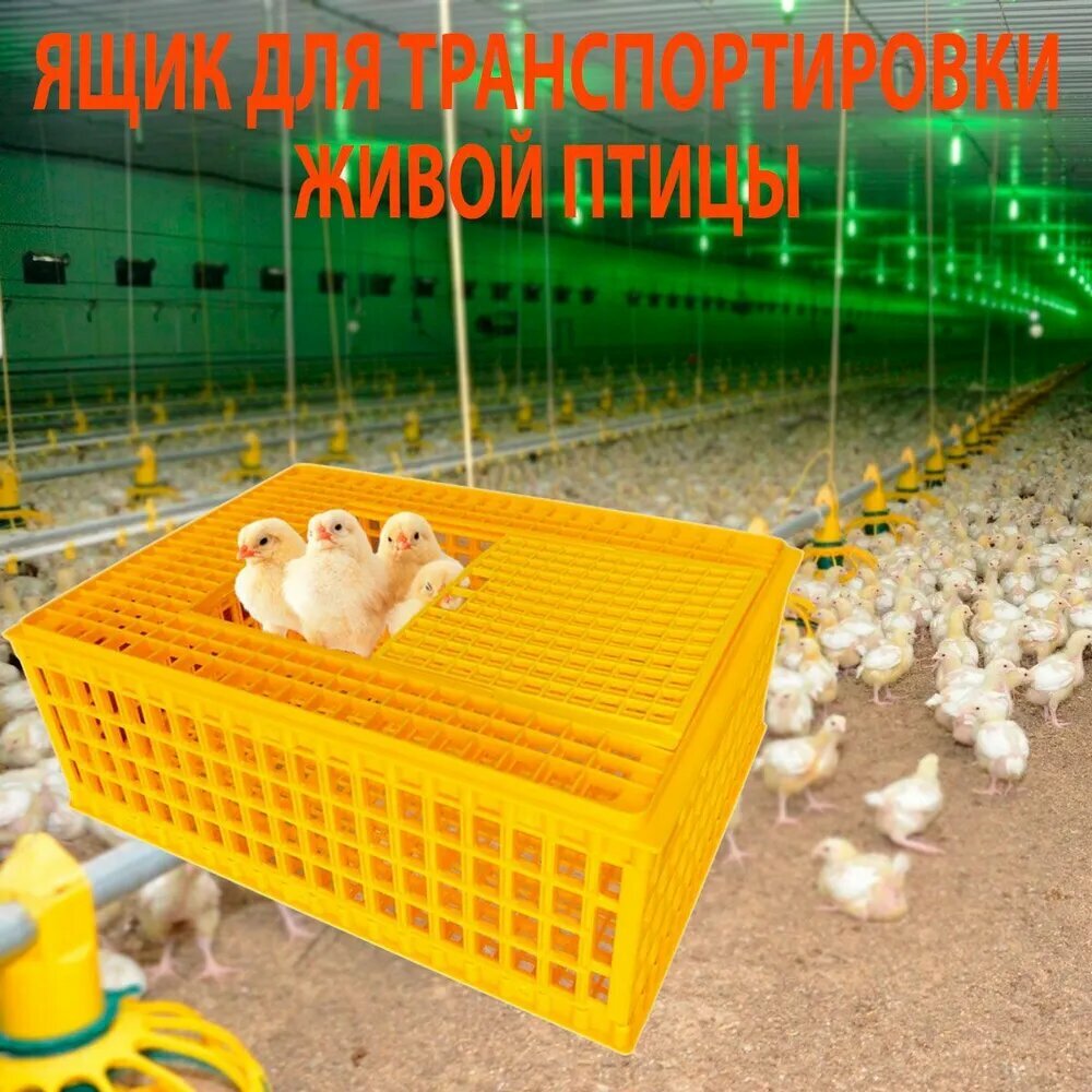 Контейнер для перевозки с/х птиц для транспортировки живой птицы, пластиковый, желтый, 730х540х250 мм