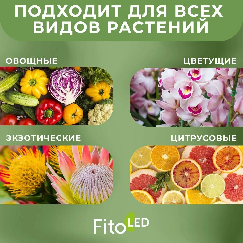 Фитосветильник — фото 1