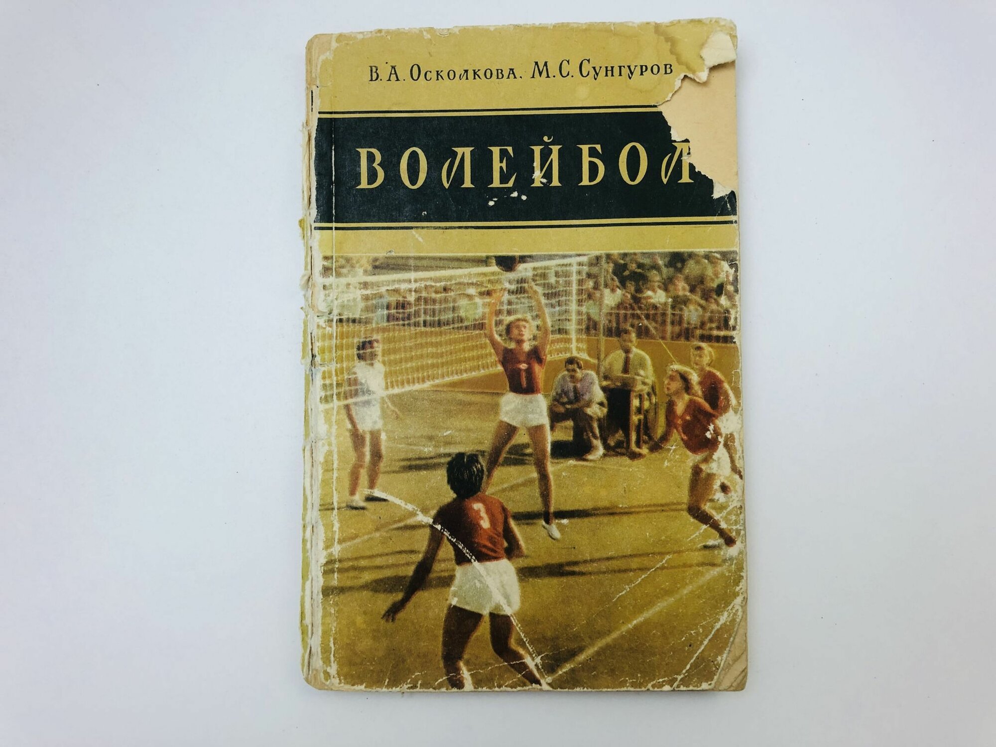 Волейбол. Пособие для сельских коллективов физической культуры