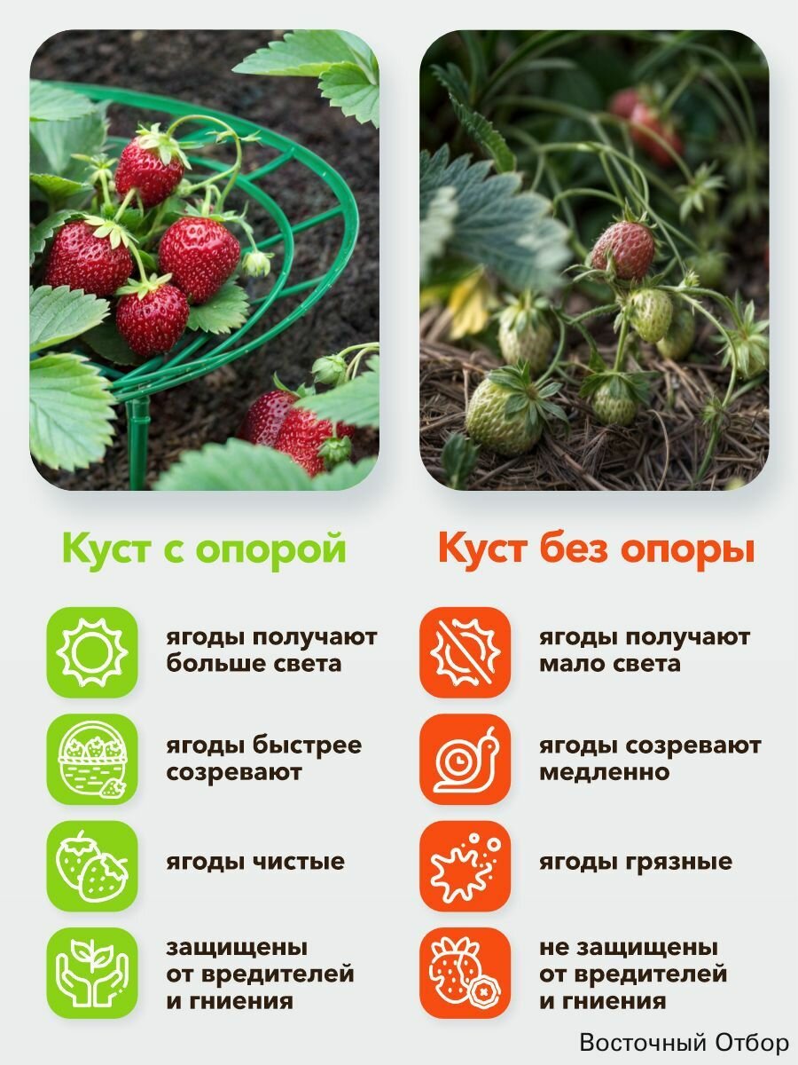 Шпалера,30см,50шт — фото 1