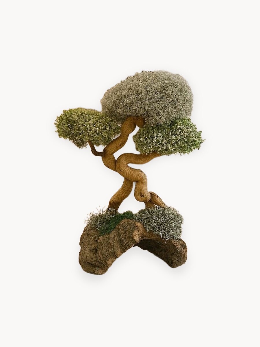 Интерьерное дерево из цетрарии декоративный бонсай для дома