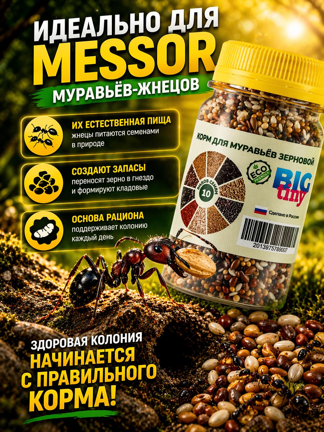 Корм для муравьев жнецов Big Tiny, зерновой микс семян для амбаров Messor, годовой запас