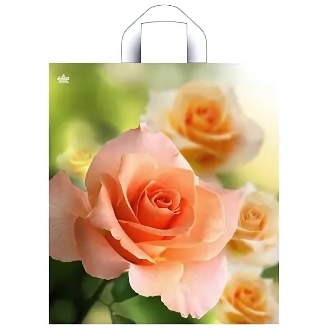 Пакет ПЭ с ручкой 38х42+6см, цветочный принт 'Утренняя роза', 1 шт