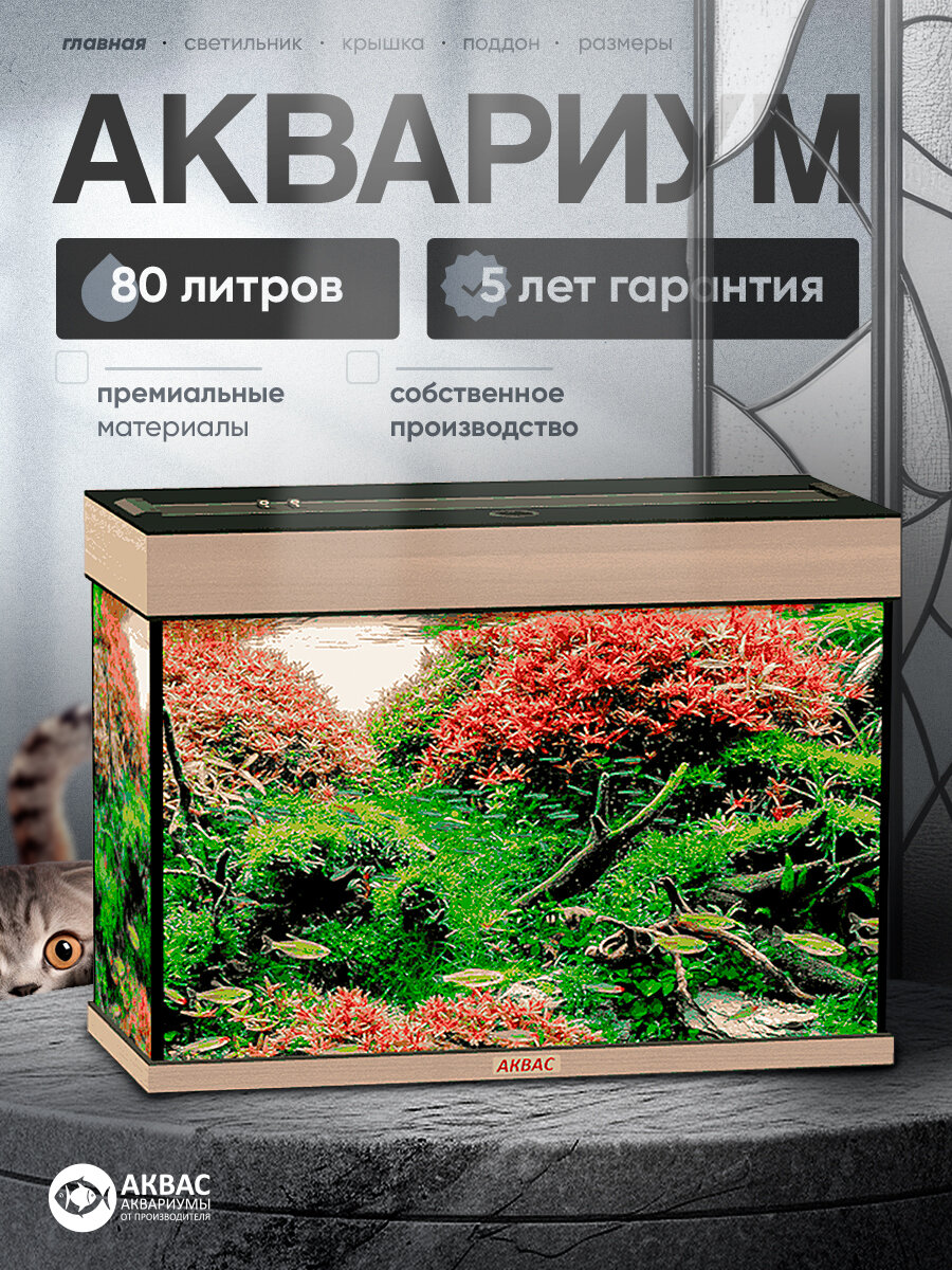 Аквариум 80 литров с крышкой и освещением, (67*29*50 см) Аквас